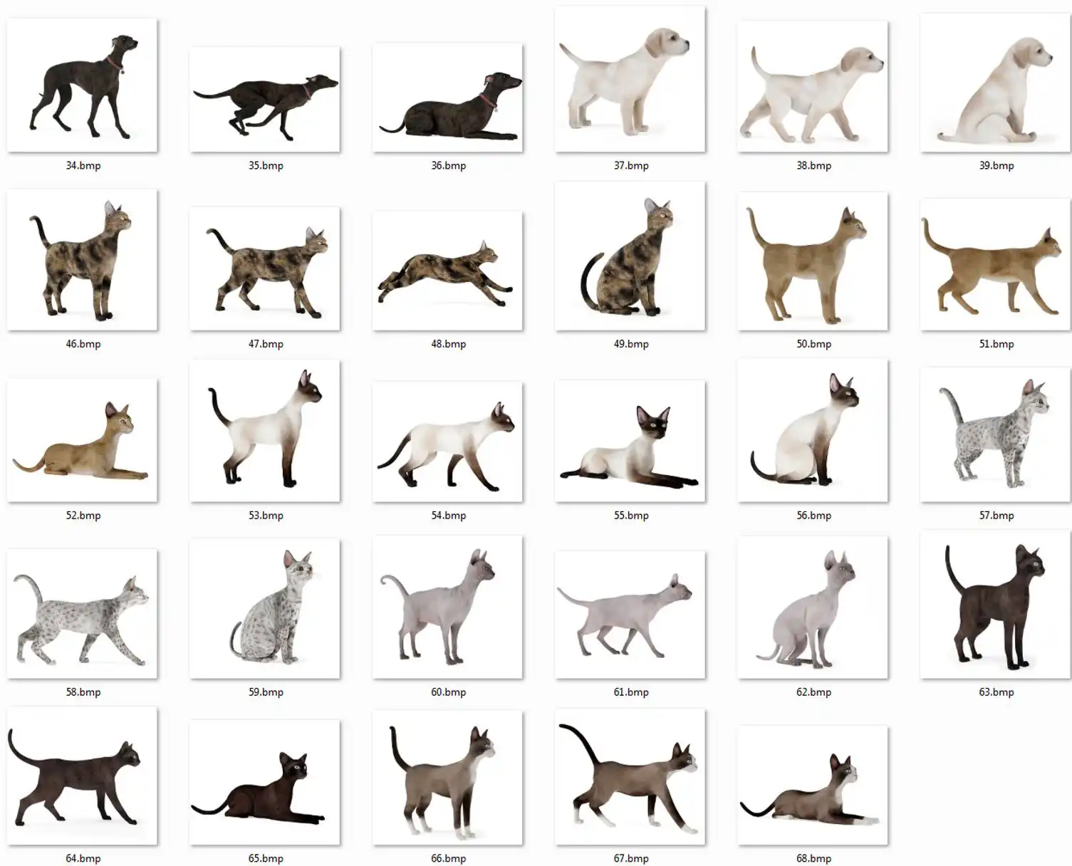 Free 3D Animal Models - Sketchup Free Models
